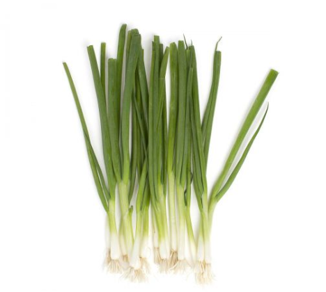 Iceless Scallions EACH | Paisanos Butcher Shop